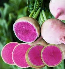 La Ferme de Rigny | Fruits et légumes Poitiers